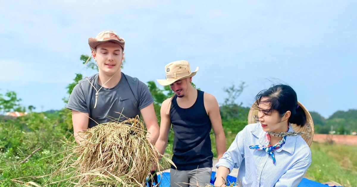 Récolter du riz et pêcher le crabe : « Bien mieux que n’importe quel ...